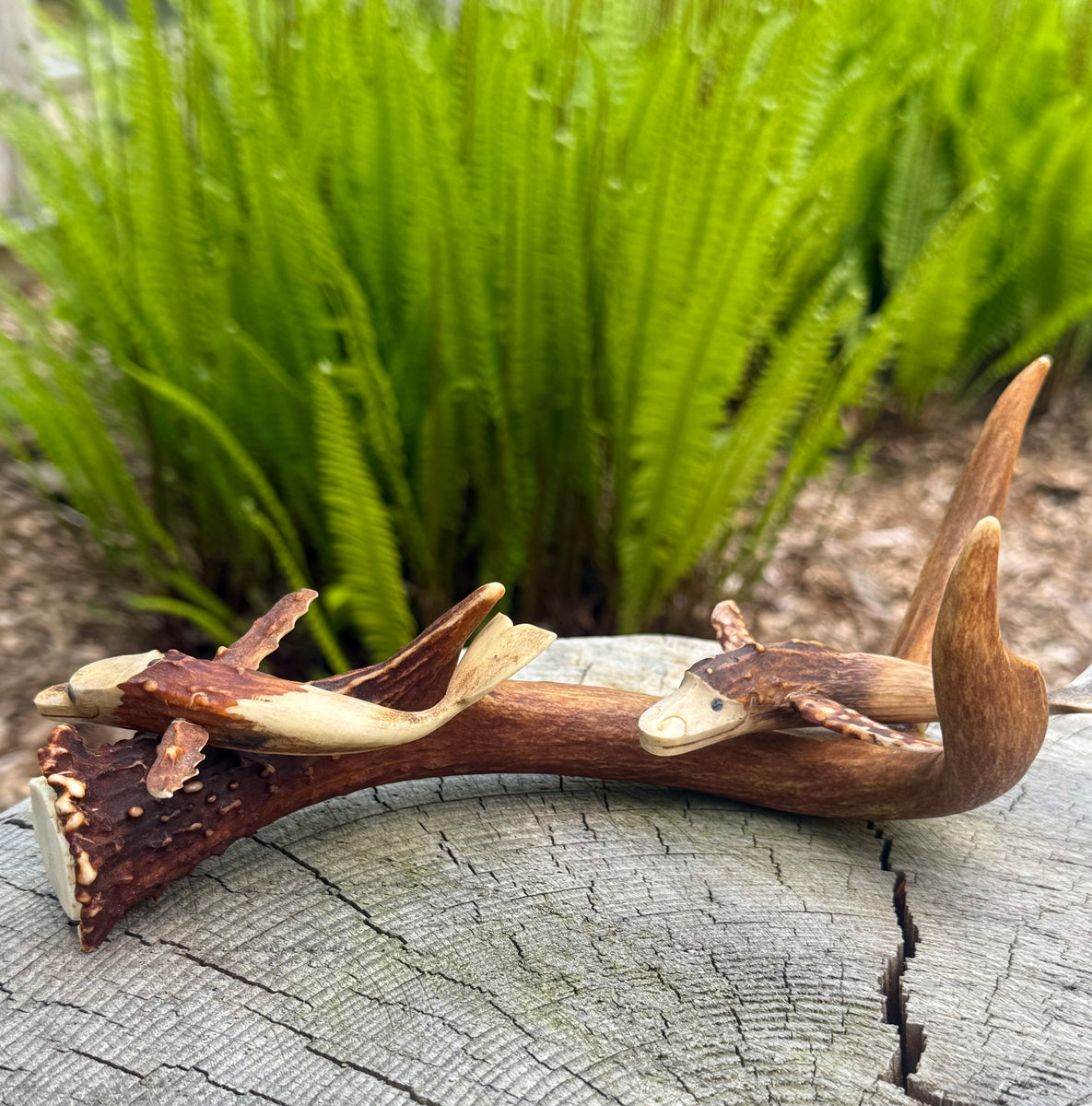 Stunning Articulating Humpback Whale Sculpture By Bill Bellis – Haida ...